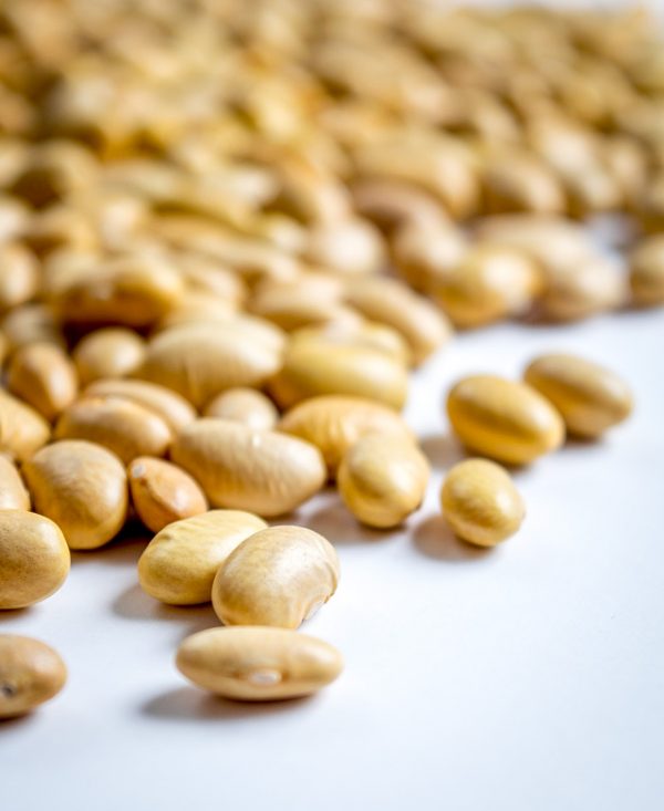 Must Try These Peruano Beans (aka Peruvian, Canary, Mayocoba, or ...
