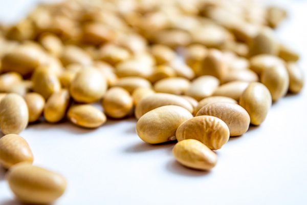 peruano peruvian mexican bean canary | Mexican Please