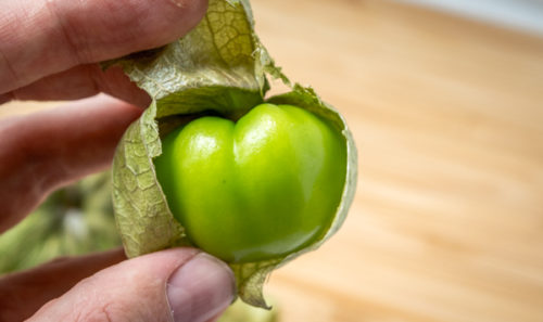 What is a Tomatillo? | Mexican Please