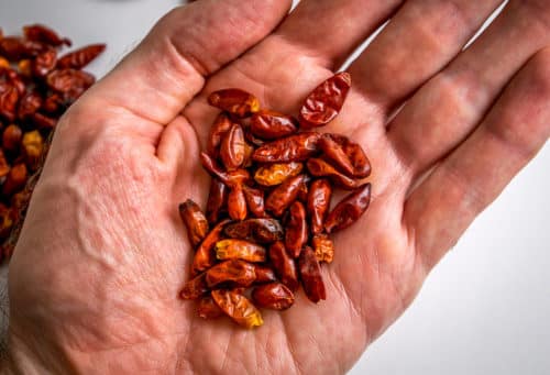 Wicked Hot Chipotle Chile Pequin Salsa | Mexican Please