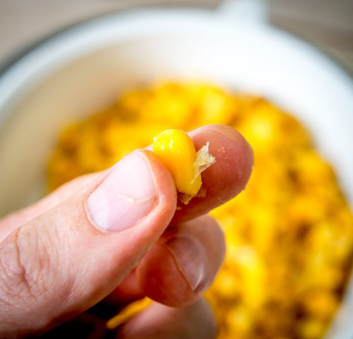 Homemade Masa Dough Using Yellow Field Corn | Mexican Please