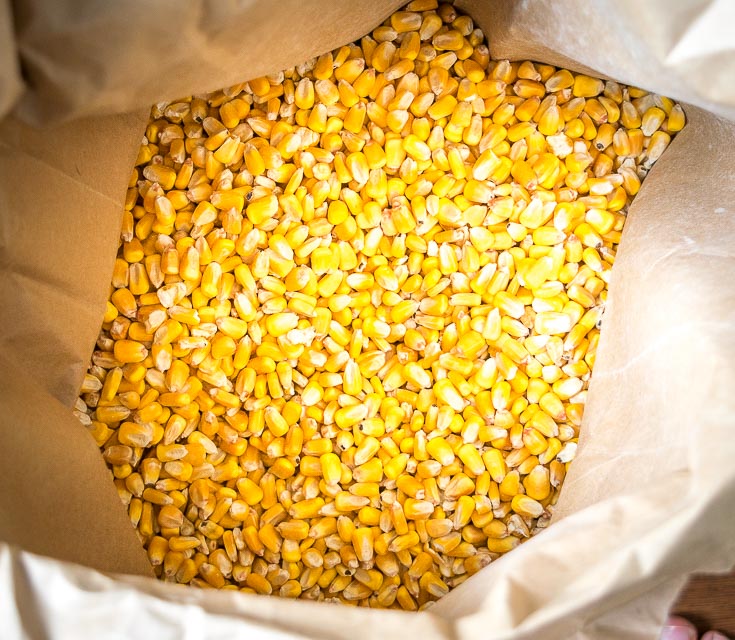 how to boil dried corn kernels