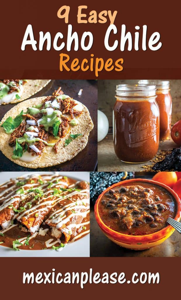 What Else Can I Make With Ancho Chiles? | Mexican Please